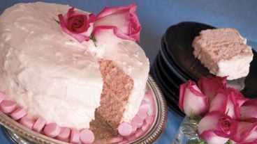 Our Ohio Recipe: Pink Lozenges Cake