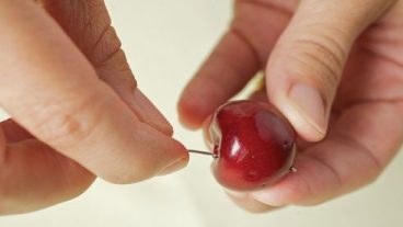 How to Pit Cherries, Freeze Cherries - Ohio Farm Bureau