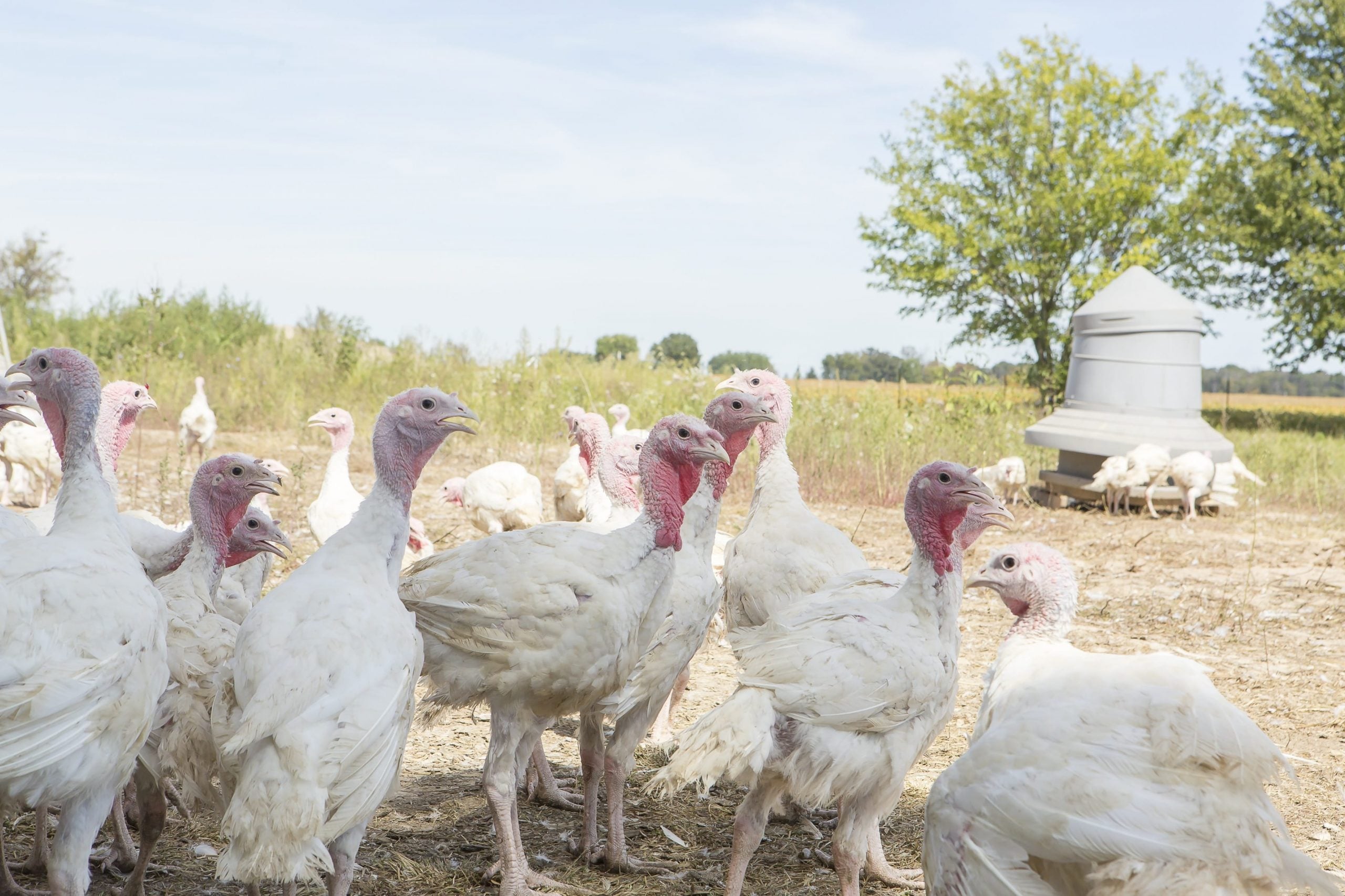 Darke County Farm Bureau