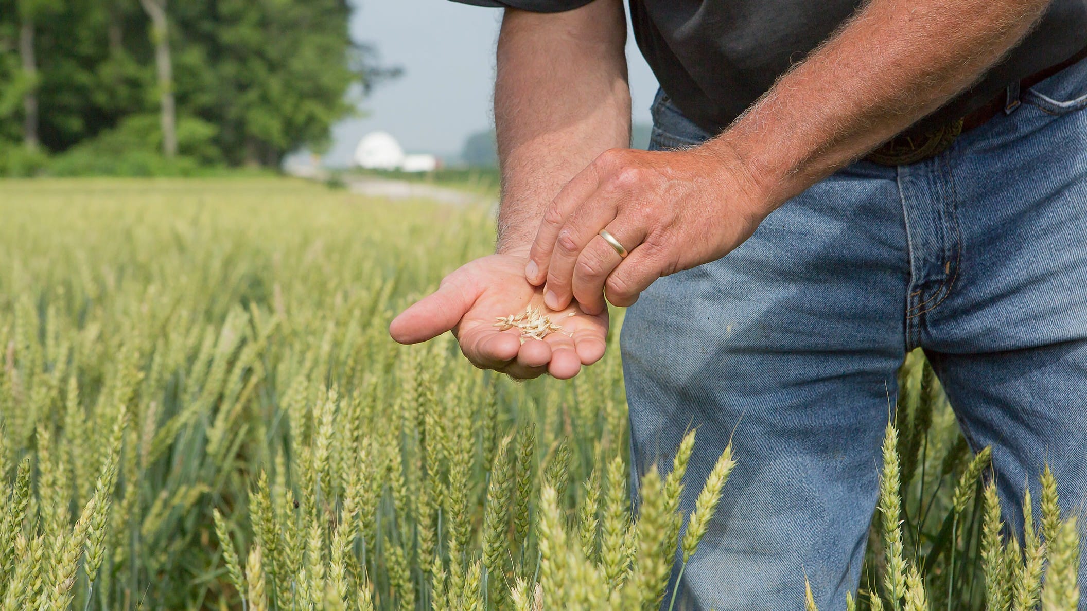 Hancock County Farm Bureau