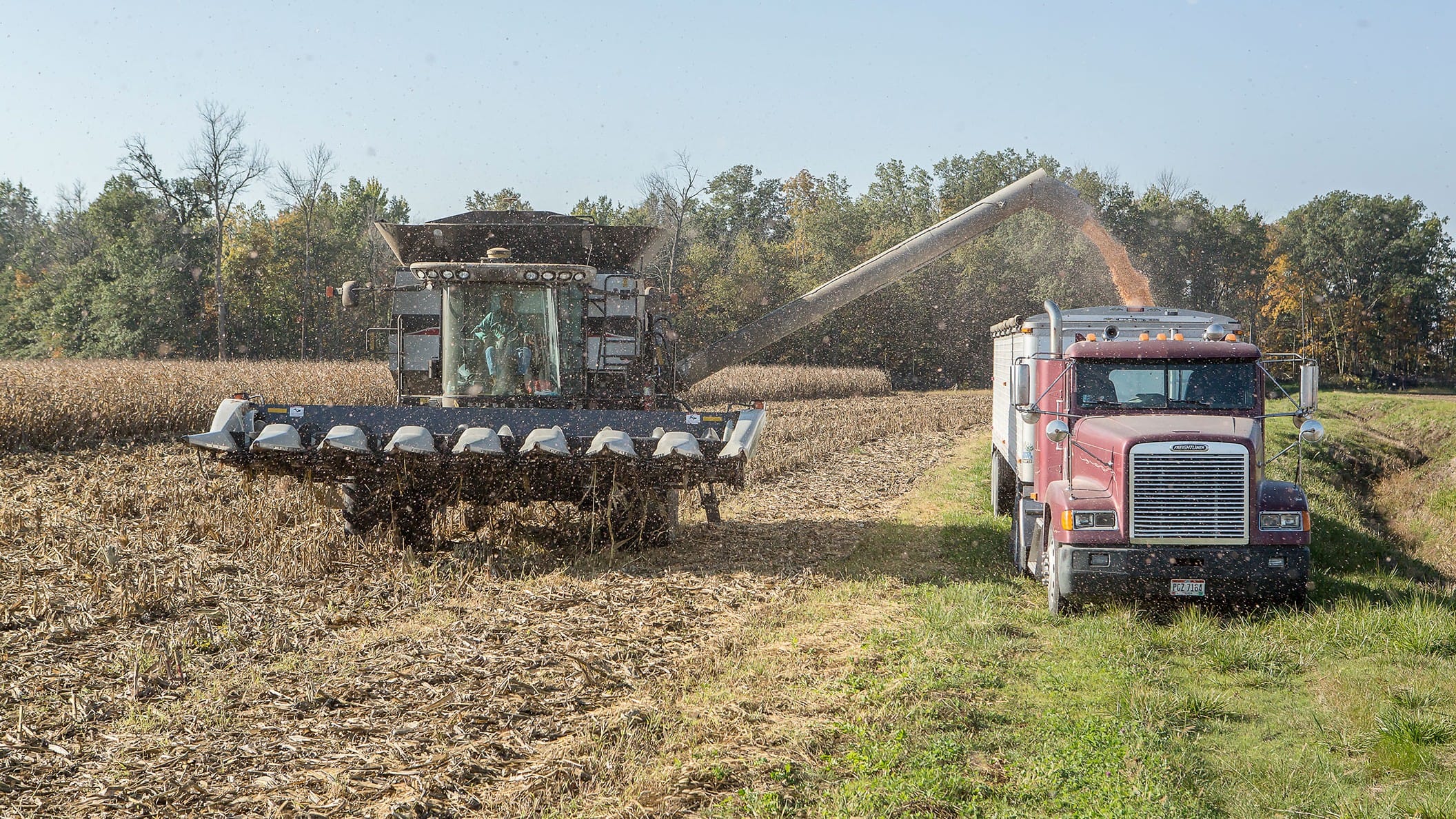 Paulding County - Ohio Farm Bureau