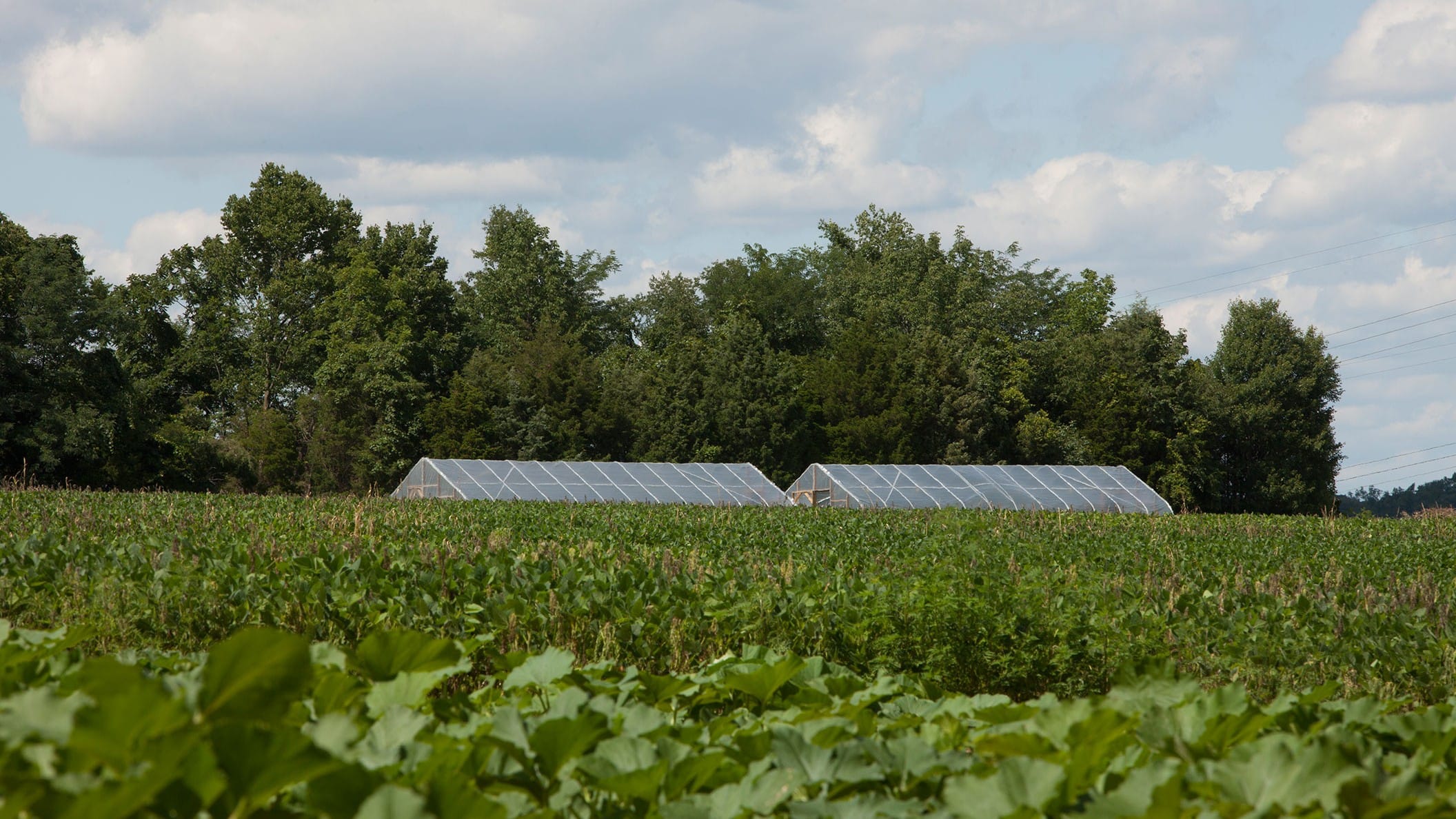 Warren County Farm Bureau