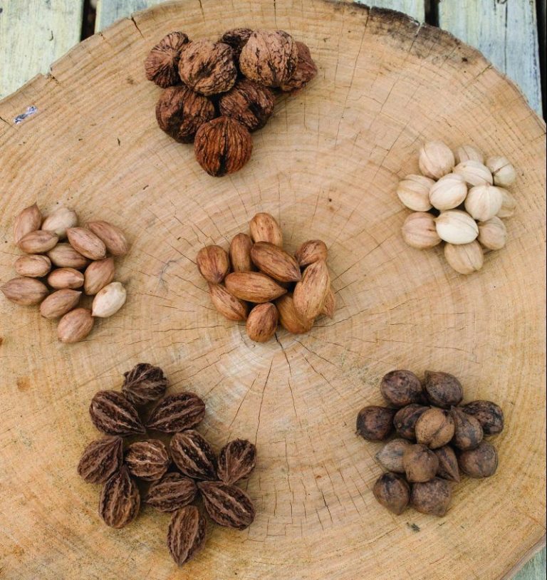Going Nuts: Nuts-a-plenty in central Ohio - Ohio Farm Bureau