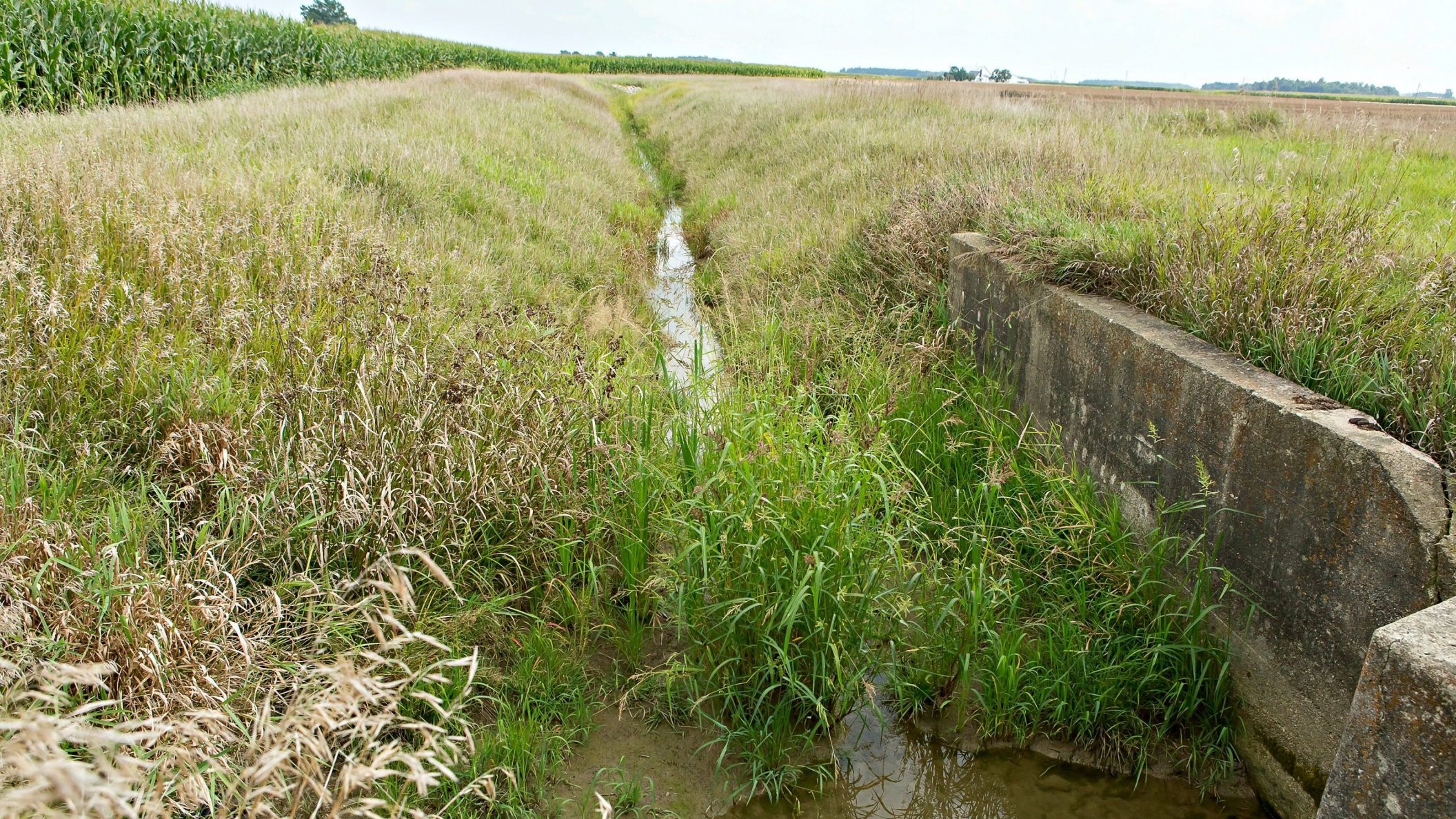Funding available to Western Lake Erie Basin farmers to improve water ...
