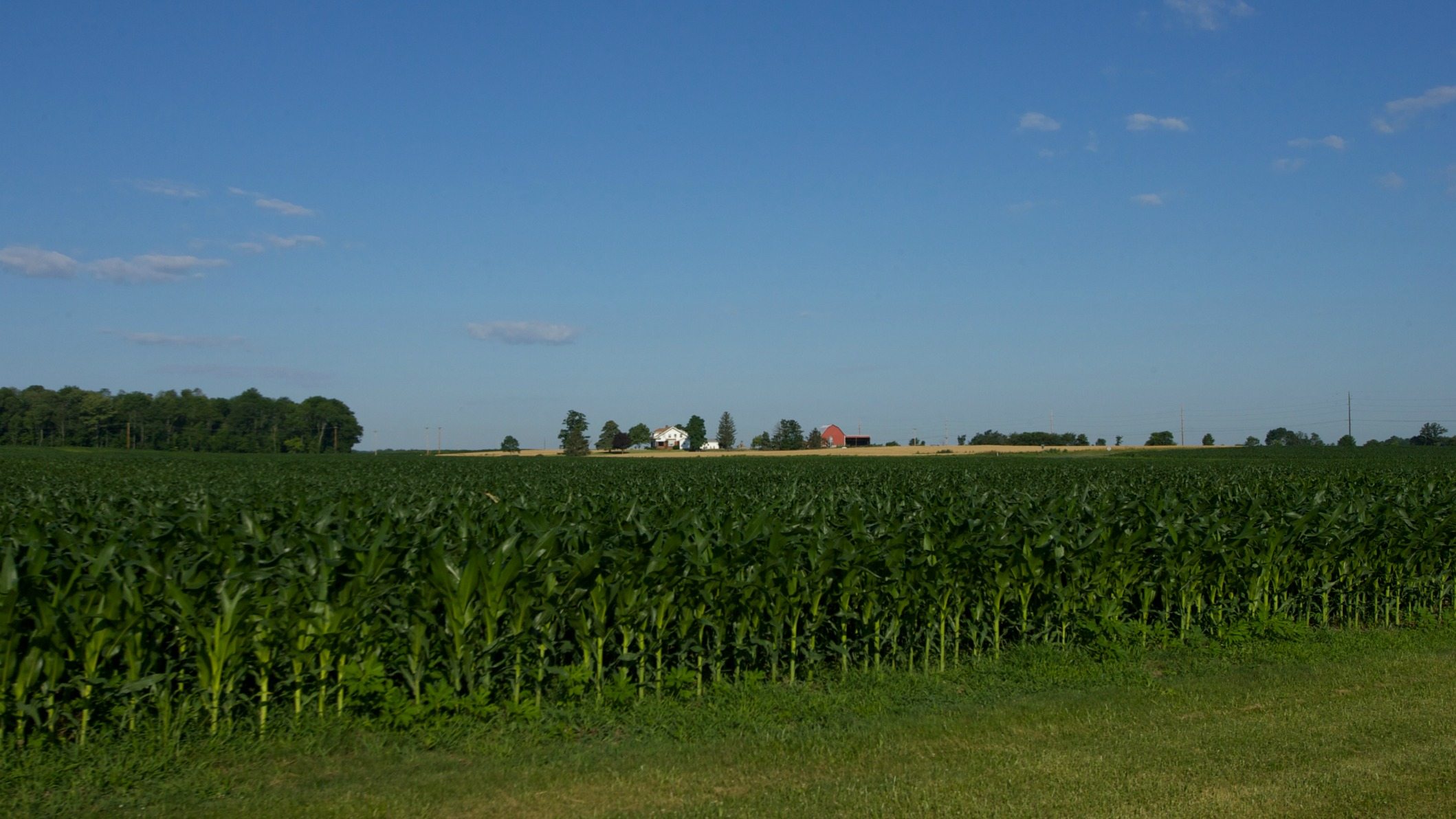 Nutrient Management Field Day - Ohio Farm Bureau