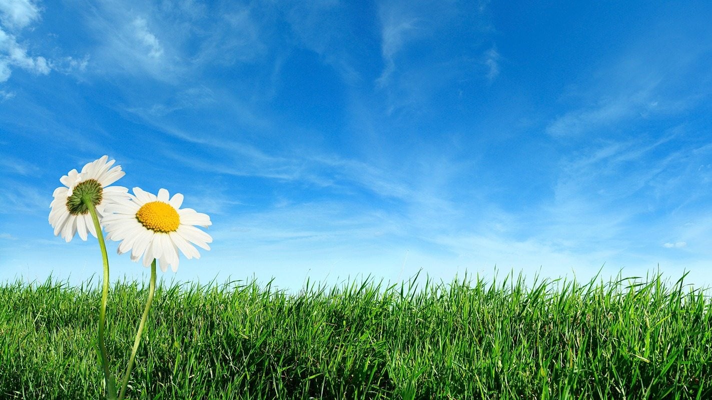 Spring grows a crop of lawn care questions - Ohio Farm Bureau