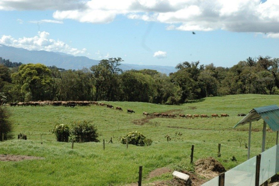 WSU Agriculture Costa Rican adventure - Ohio Farm Bureau