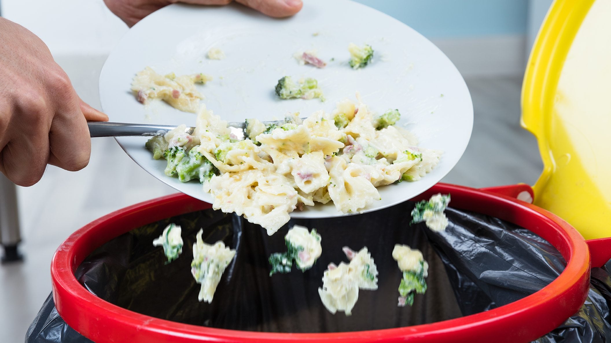 No Taste for Waste campaign addresses food waste, prevention - Ohio ...