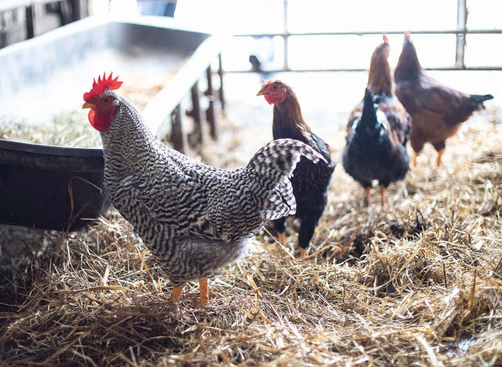 Ellingtons work to bond with consumers - Ohio Farm Bureau