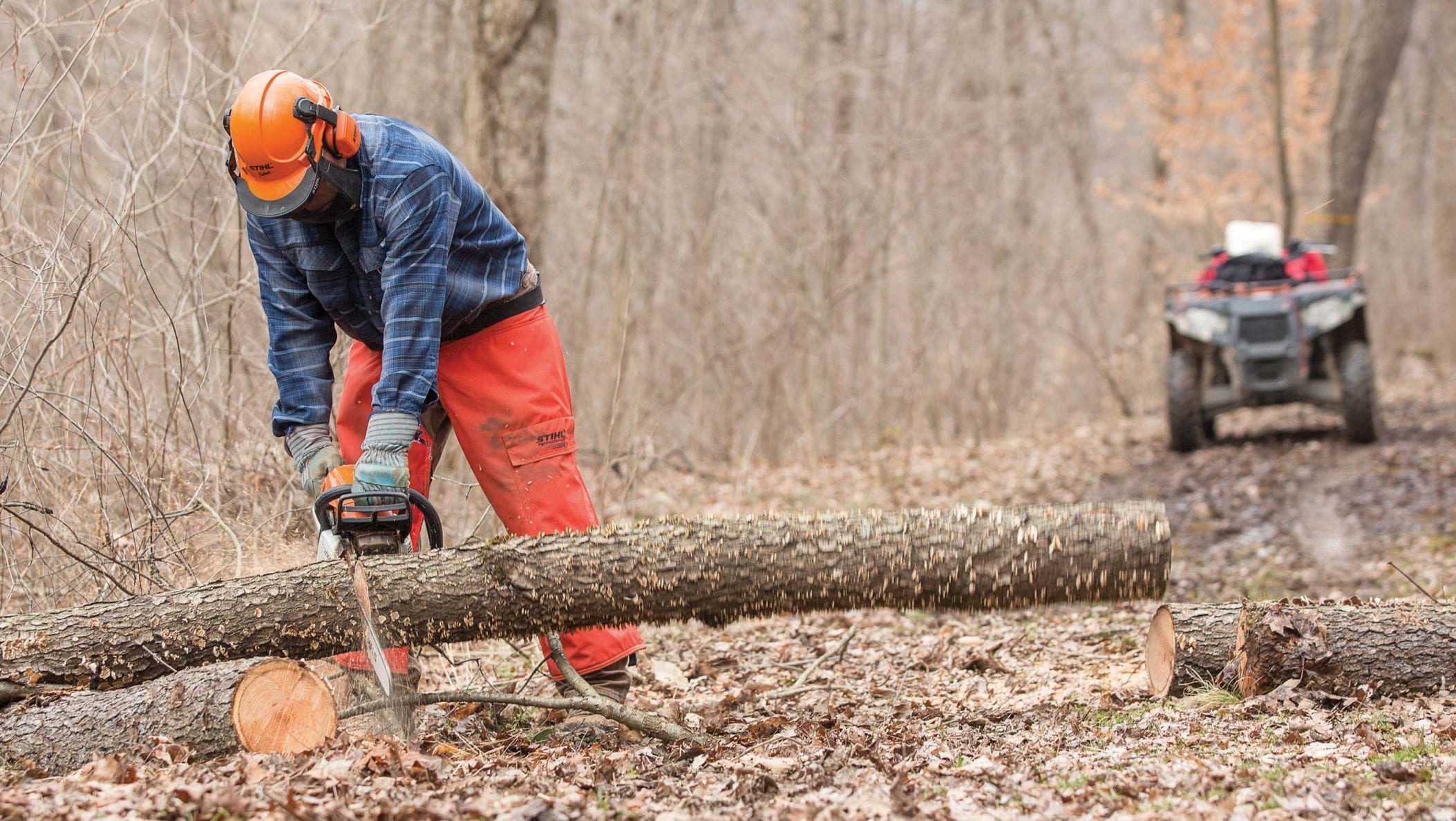 Tuscarawas County couple’s tree farm wins national recognition - Ohio ...