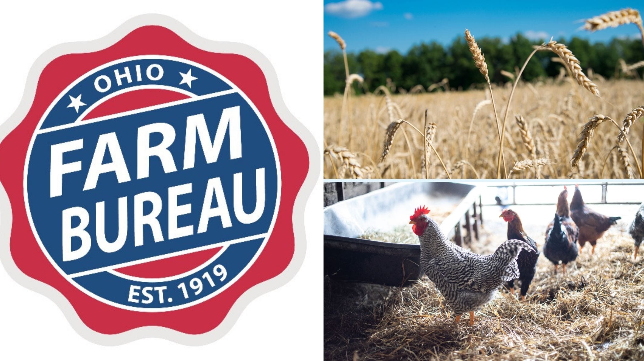 2020 Outstanding Young Farmer, Excellence in Ag applications due Aug. 9 ...