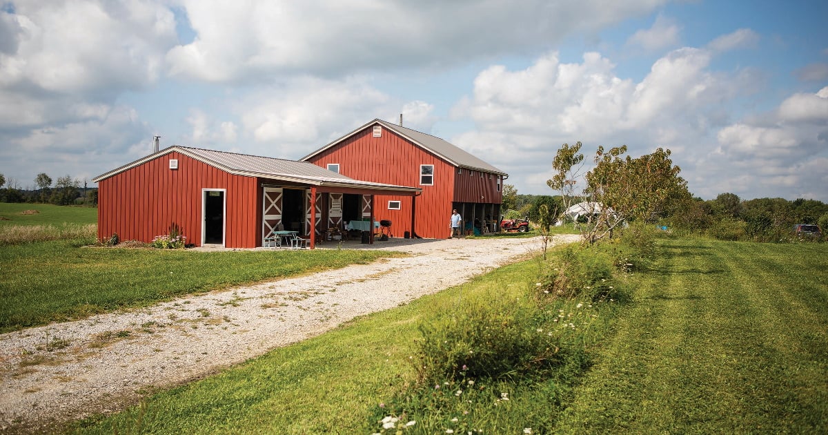 Figs, off-beat fruits welcomed at small farm - Ohio Farm Bureau