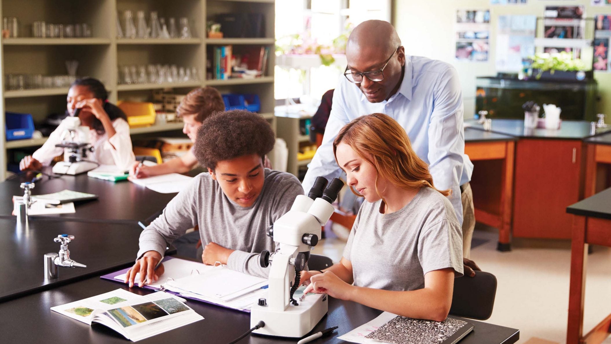 10 ag teachers honored as finalists for Golden Owl Award - Ohio Farm Bureau