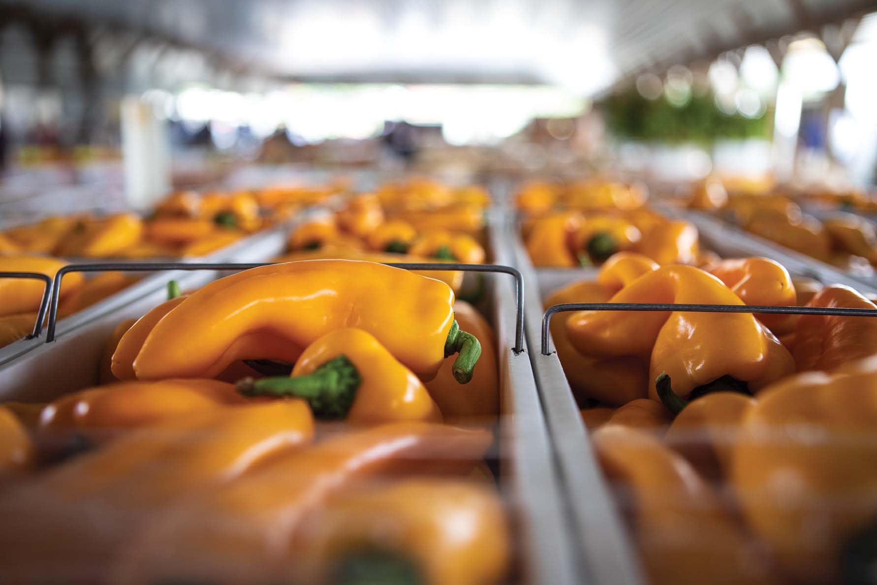 All about community at County Line Produce Auction - Ohio Farm Bureau