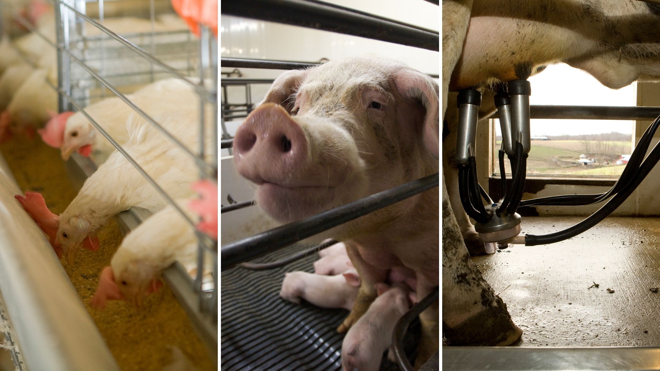 Continued vigilance key to farm security - Ohio Farm Bureau