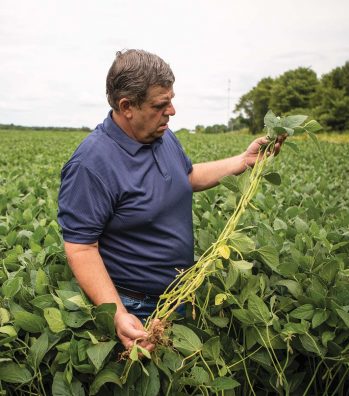 Soy innovative: Research lab creates new products, demand for soybeans ...