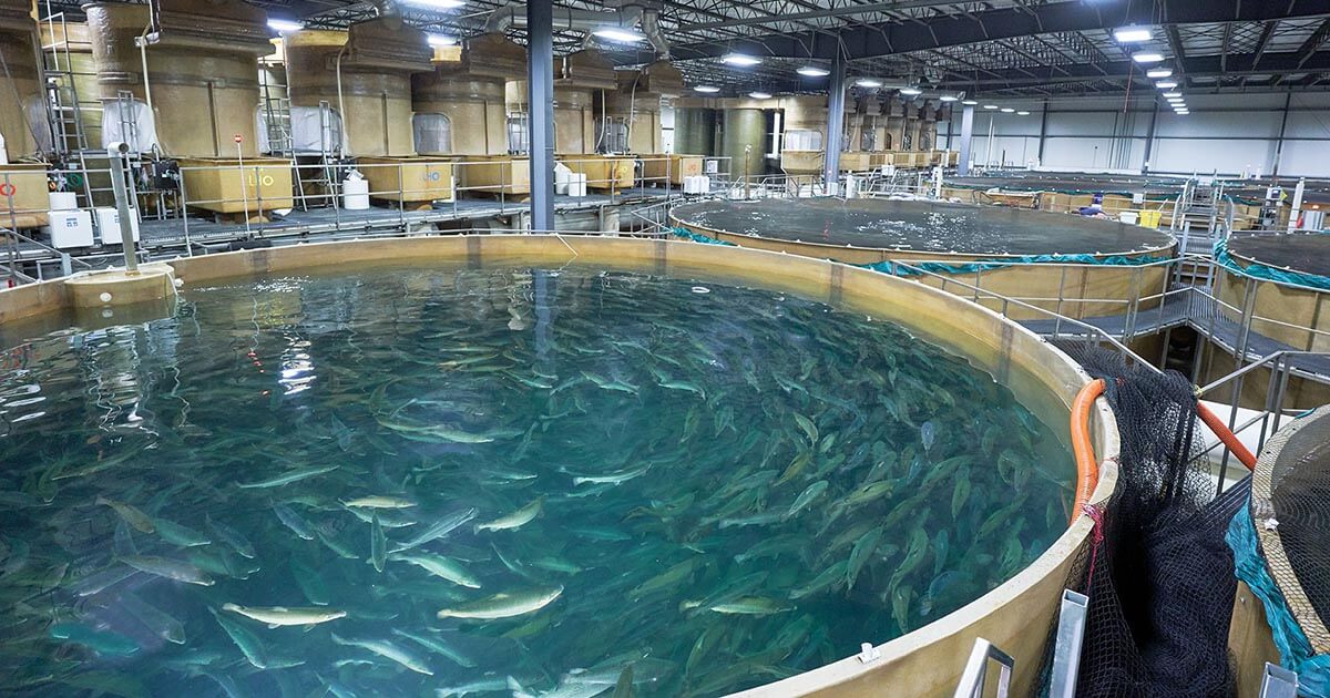 Our Ohio Weekly: AquaBounty Salmon Farm - Ohio Farm Bureau
