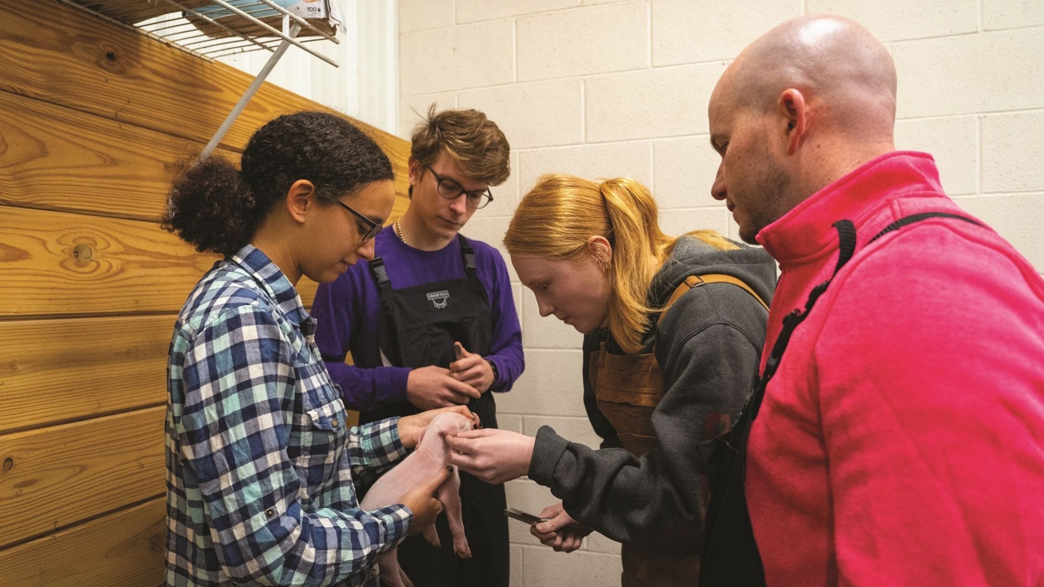 Vets-to-be flourish at Findlay - Ohio Farm Bureau