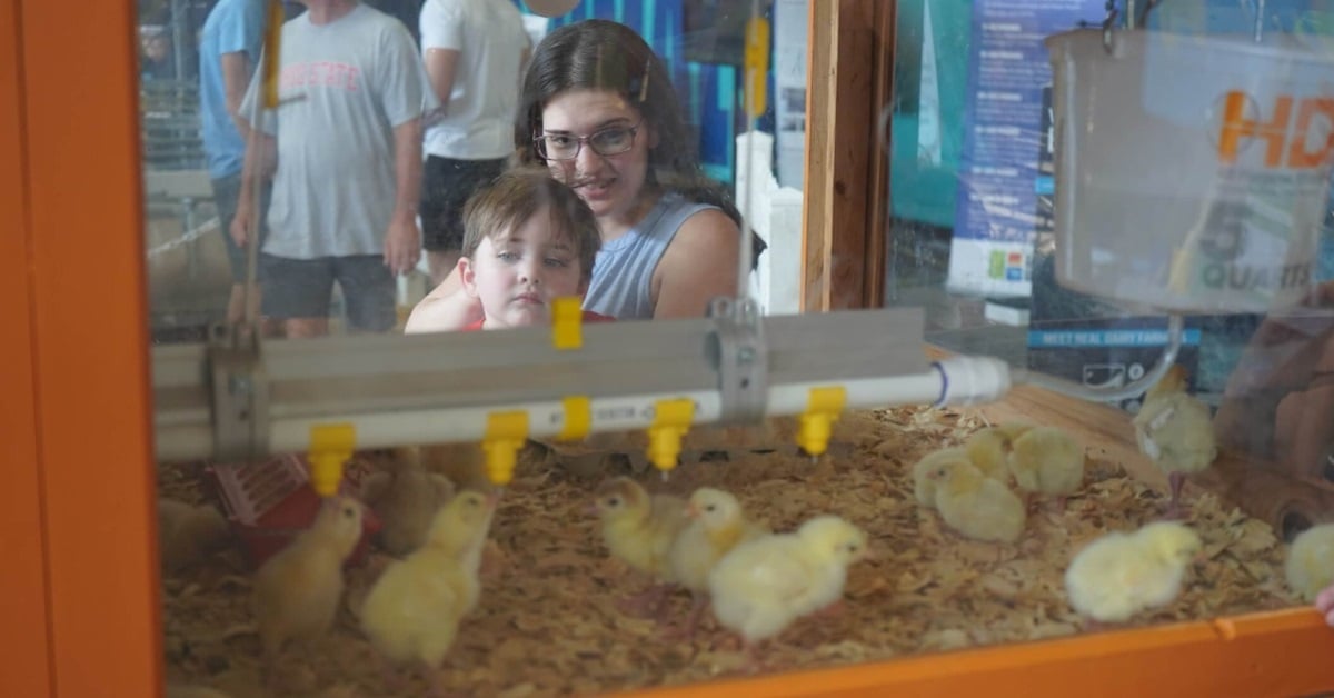 Growing our Generation: Ohio State Fair - Ohio Farm Bureau