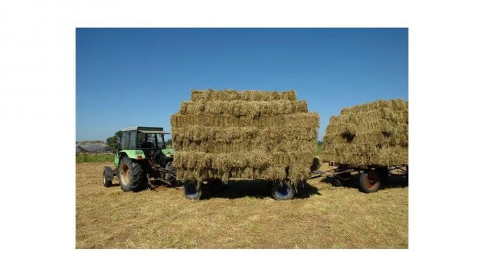Hot summer days teach valuable life lessons - Ohio Farm Bureau