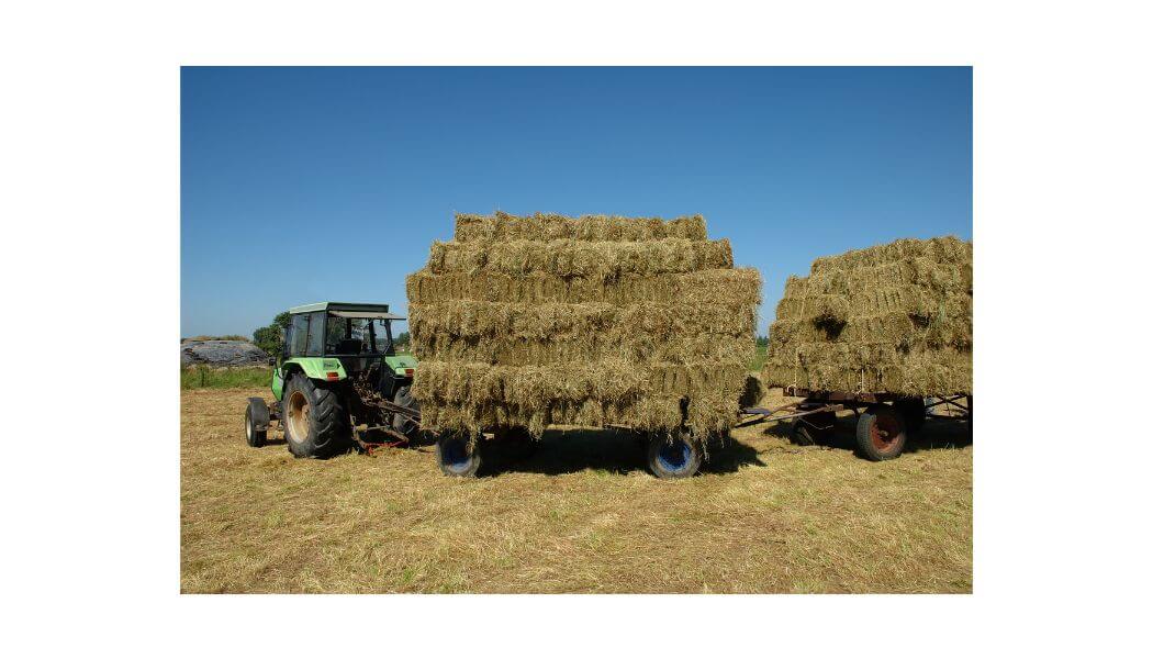 Hot summer days teach valuable life lessons - Ohio Farm Bureau