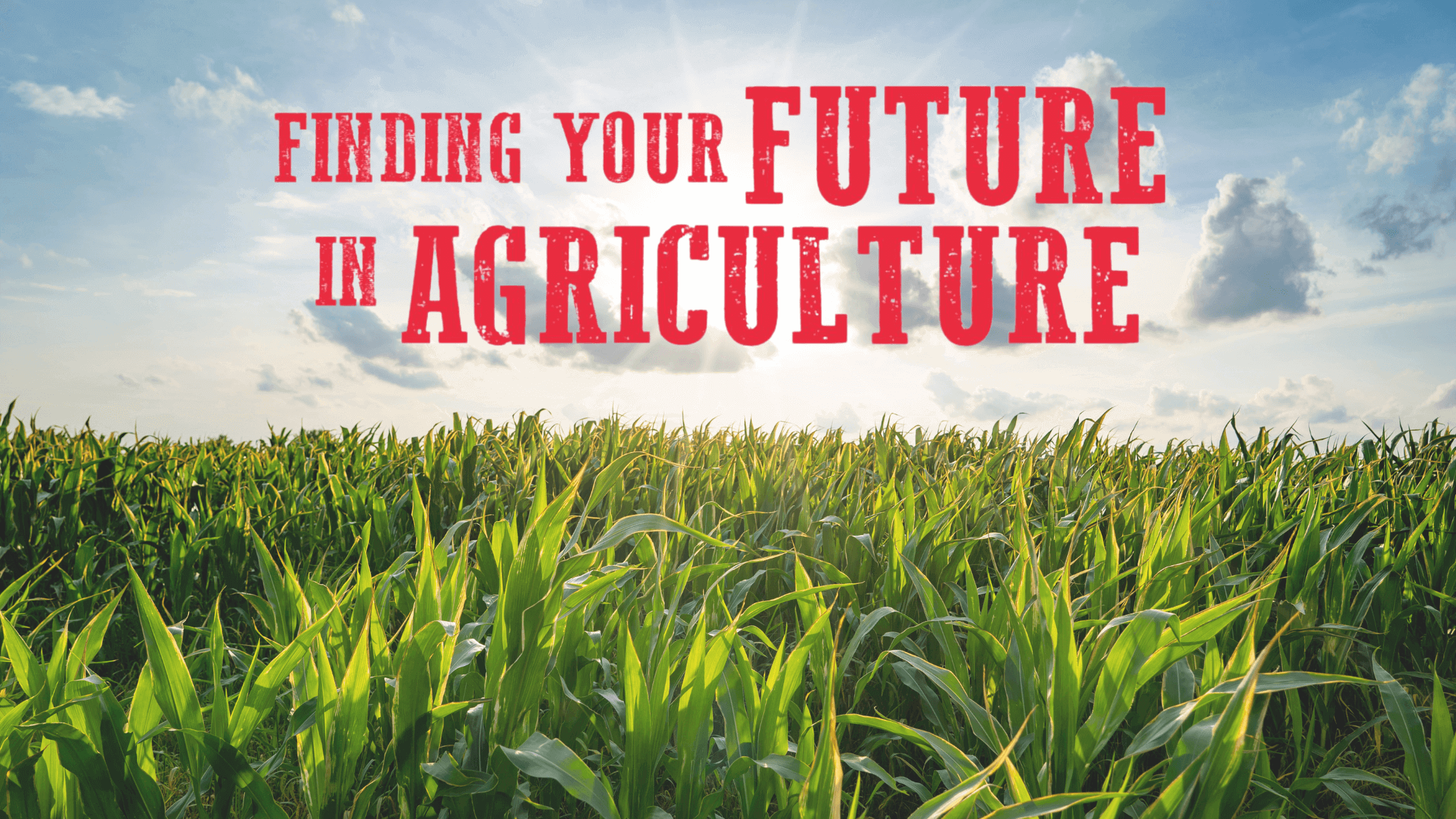 Finding Your Future in Agriculture - Ohio Farm Bureau