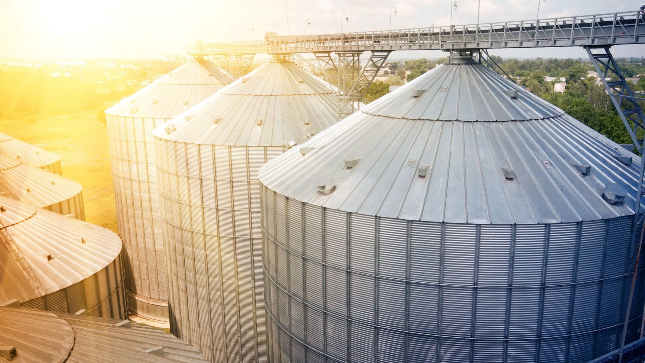 Essential grain bin safety reminders for every farmer - Ohio Farm Bureau