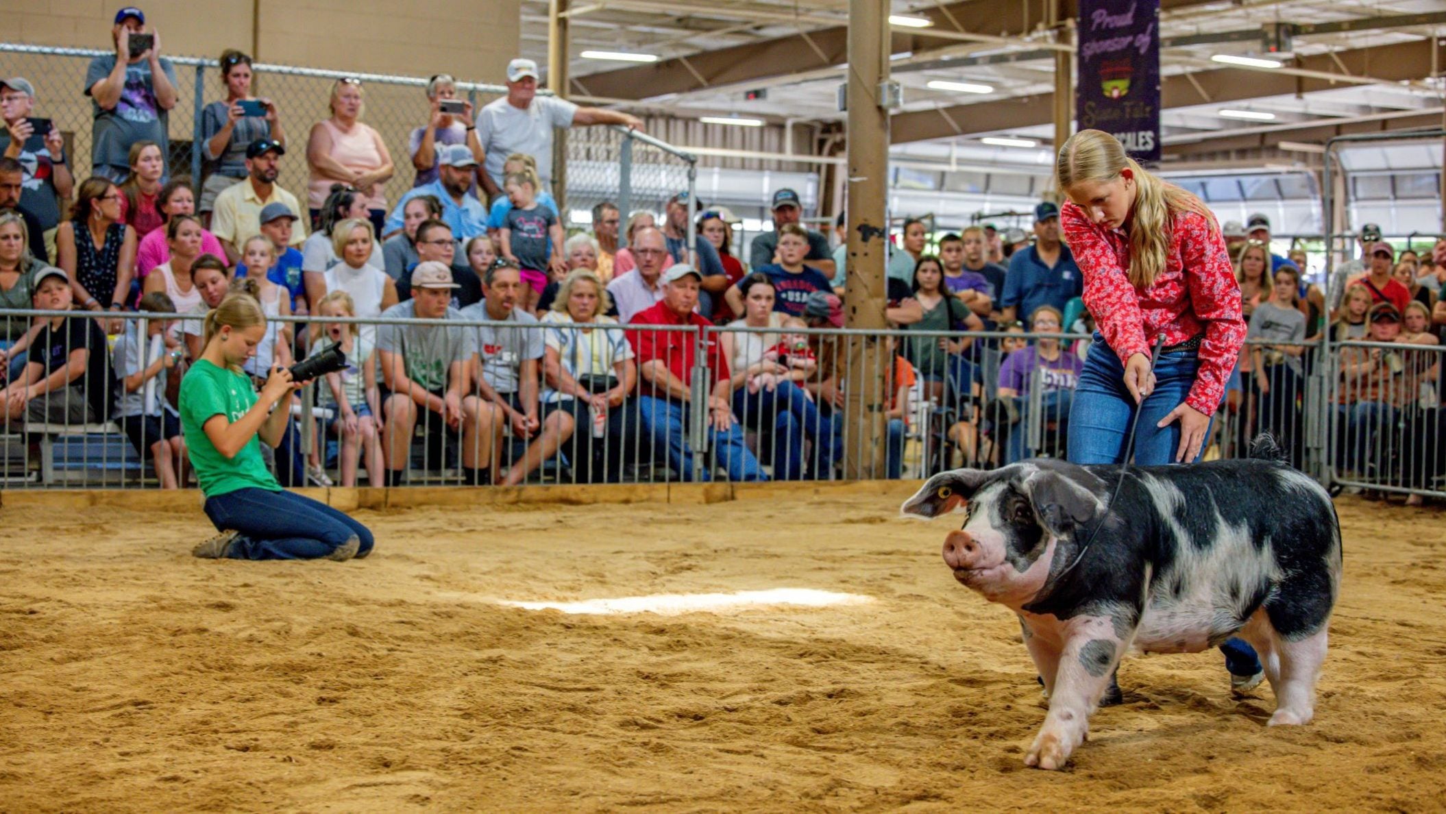 Ohio Livestock Exhibition Rules updated - Ohio Farm Bureau