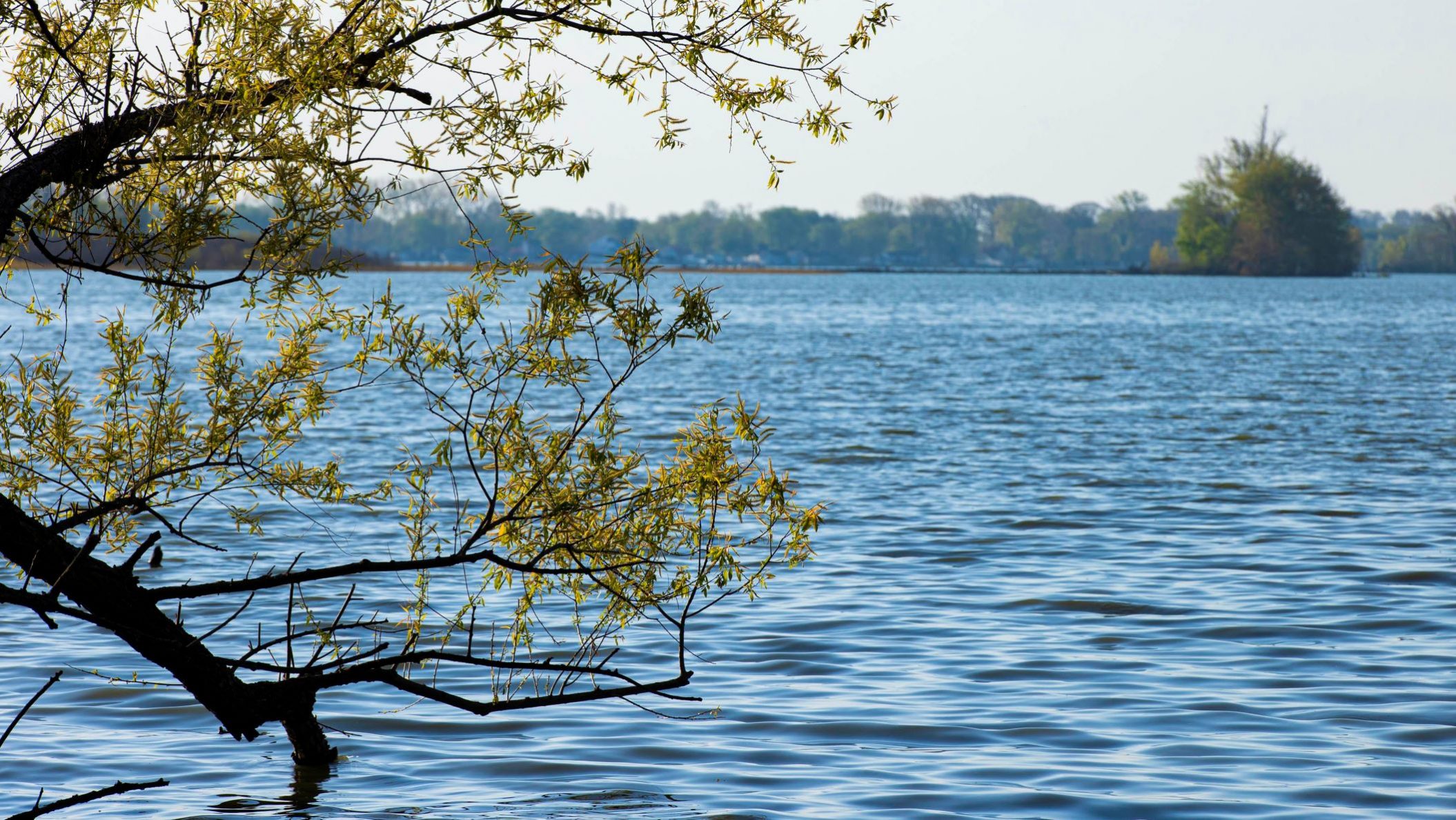 Forecast for 2024 Lake Erie algal bloom released - Ohio Farm Bureau