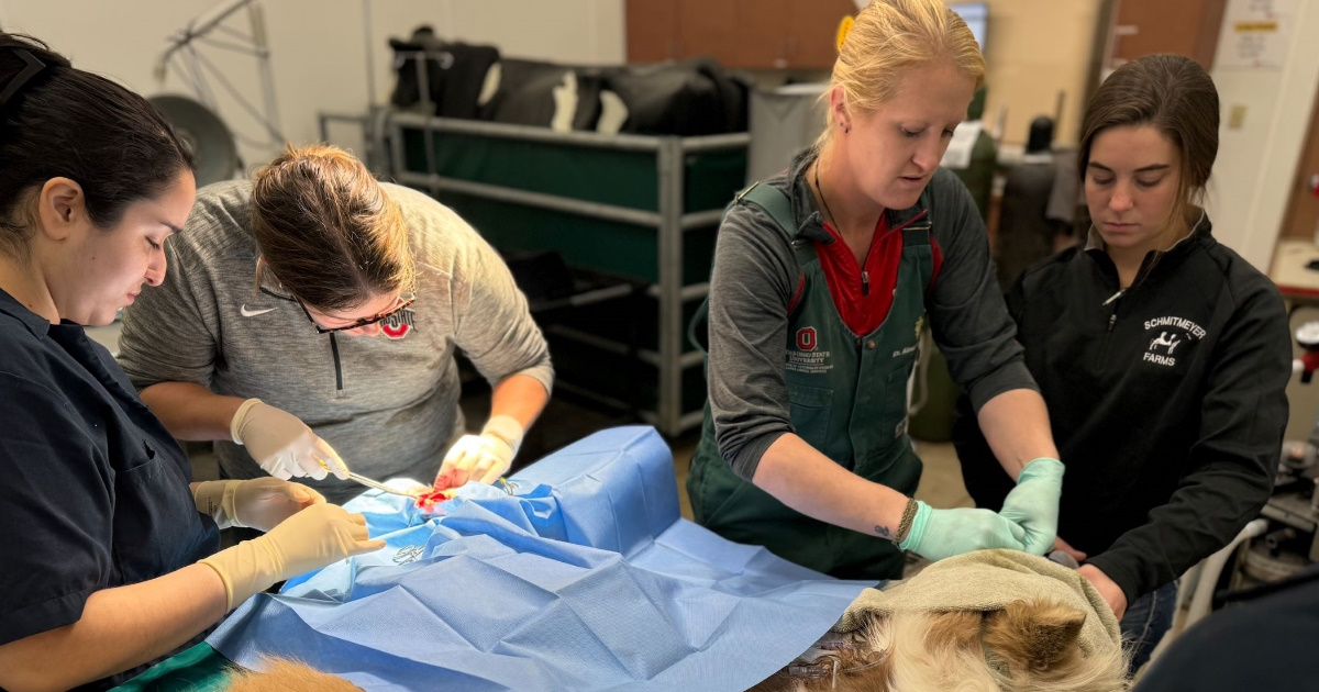 Need for vets creates various career pathways - Ohio Farm Bureau